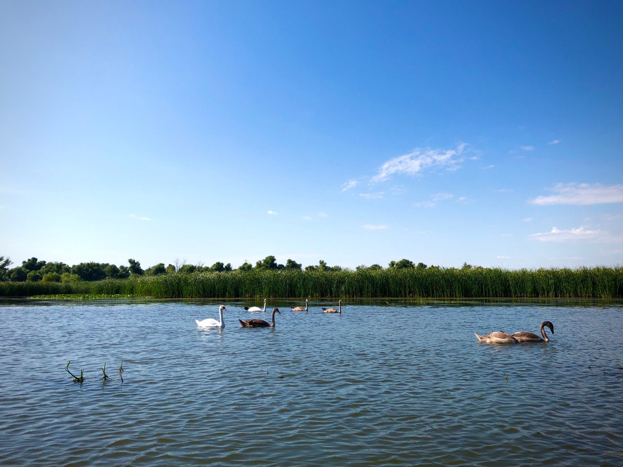 The World of the Danube Delta – One of Romania’s treasures and more ...