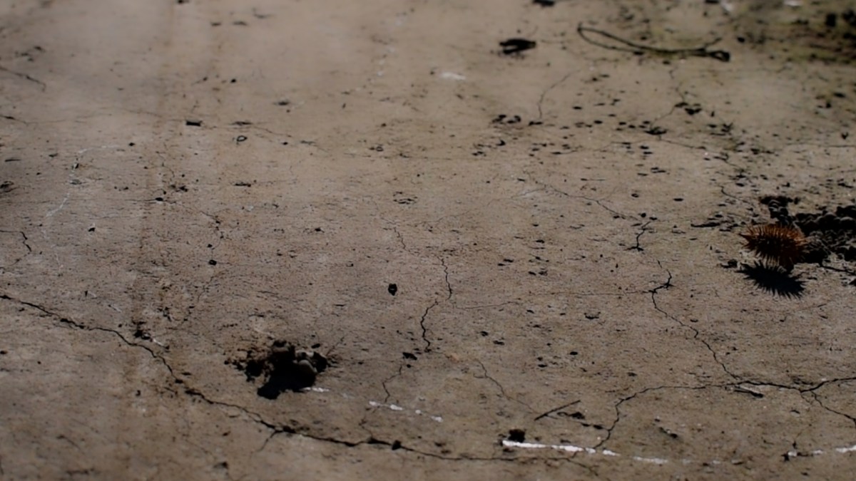 Argilă și cernoziom, de Traian Dorz // Clay and chernozem |Lyrics – A ...